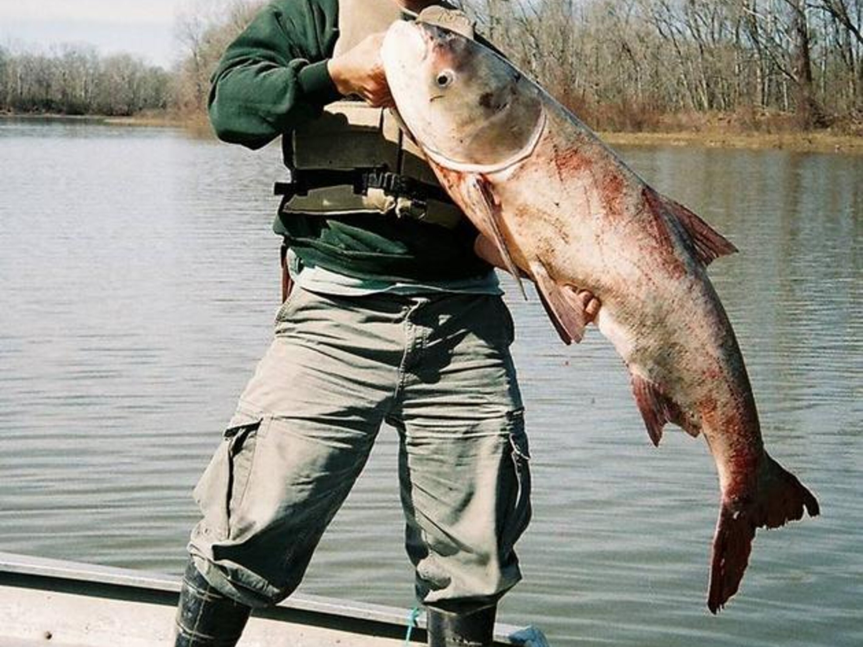 Bighead Carp | Nebraska Invasive Species Council | Nebraska
